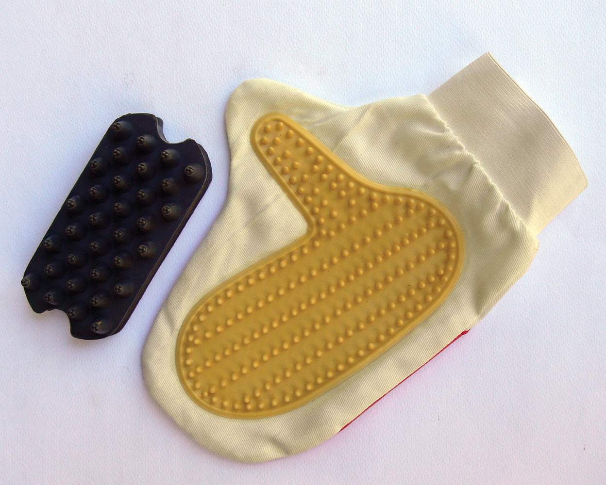 Dog Grooming Tips, Tools & Techniques for Beginners - Getting to Know Dogs