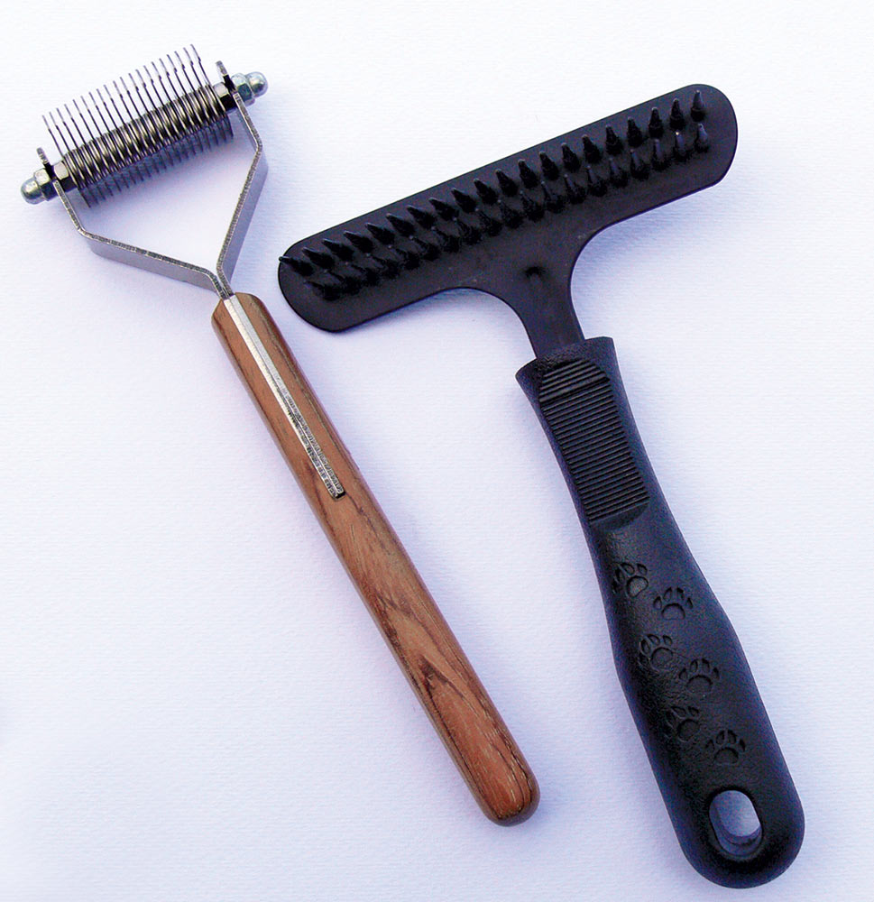 Dog Grooming Tips, Tools & Techniques for Beginners - Getting to Know Dogs