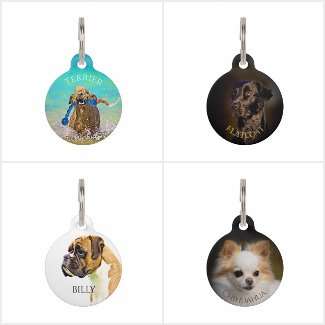 What is Clicker Training? - Train Your Dog With a Click! - Getting to ...
