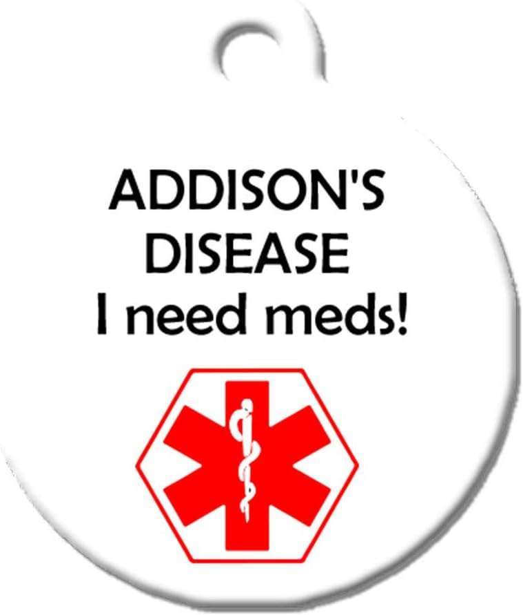 Addison's Disease in Dogs - Symptoms and Treatment - Getting to Know Dogs