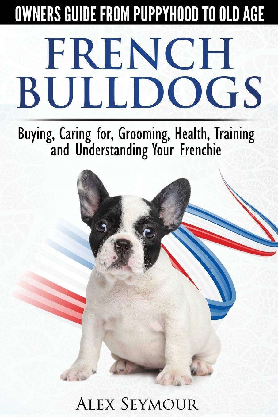 Living with a French Bulldog - Breed Information and Photos - Getting ...