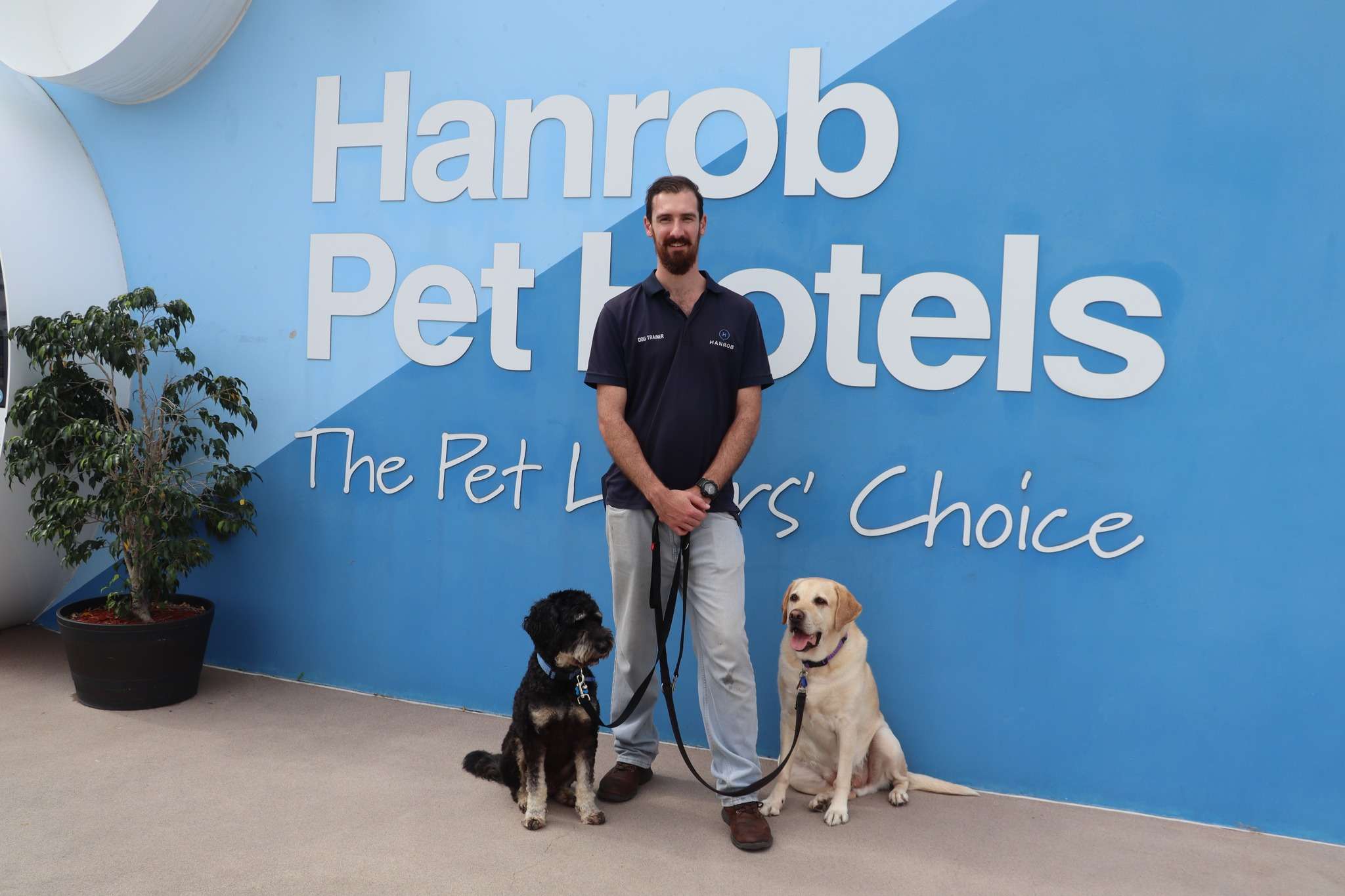Hanrob Pet Hotels - Sydney, New South Wales, Australia