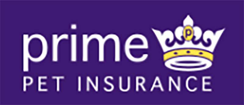 Prime Pet Insurance - Sydney, New South Wales, Australia